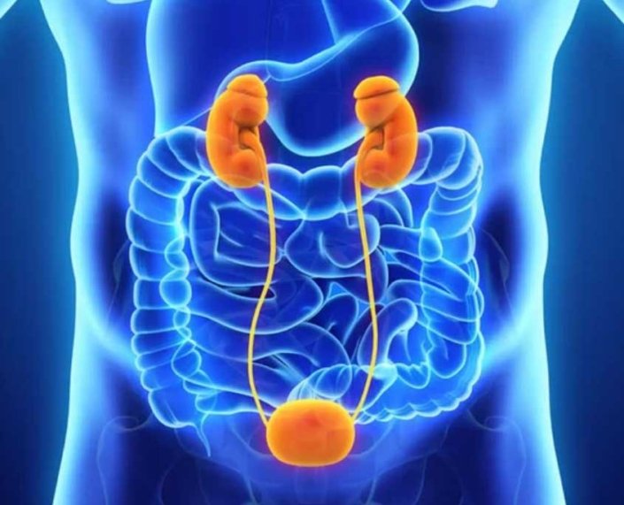 Παθήσεις ουροδόχου κύστεως - Σπυρίδων Σ. Μαρτίνης